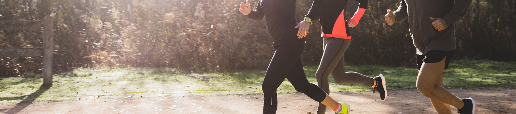 sam D. - Profil, courses et résultats